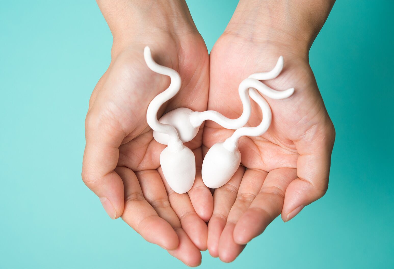 Why the Y Chromosome is Disappearing: Critical Implications for Human ...